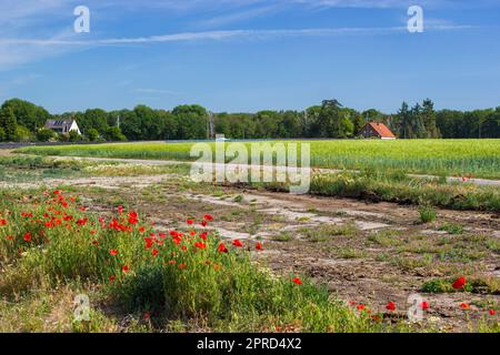 German countryside landscape, Lower Rhine Region Stock Photo - Alamy