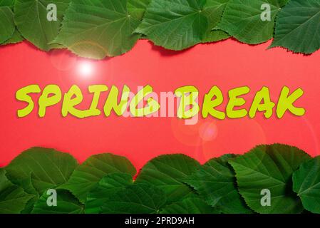 Conceptual caption Spring Break, Business overview Vacation period at ...
