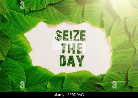Text showing inspiration Seize The Day. Business idea Embrace ...