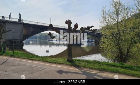Schweich an der Mosel, a village in Germany, in the background the ...