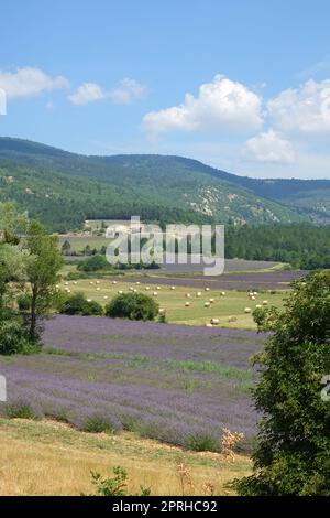 Plateau de Sault, Provence Stock Photo - Alamy