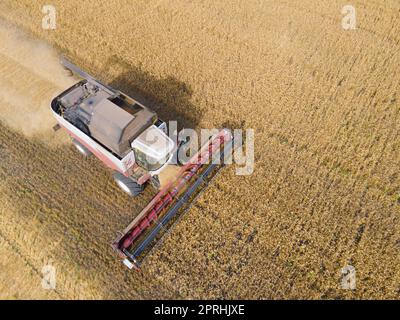 Combine machine is harvesting oats on farm field. combine harvester ...