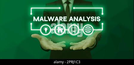 Conceptual display Malware Analysis, Concept meaning activities a ...