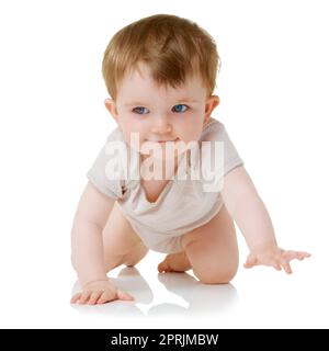 You have to crawl before you can walk. An adorable little baby isolated ...