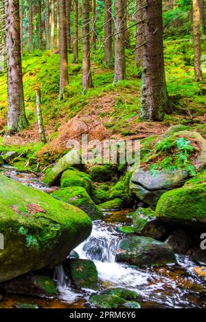 Small waterfall in the harz, germany Stock Photo - Alamy