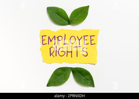 Writing displaying text Employee RightsAll employees have basic rights ...