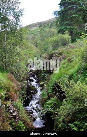 Hiking at inchree falls Stock Photo - Alamy
