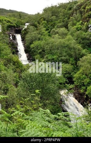 Hiking at inchree falls Stock Photo - Alamy