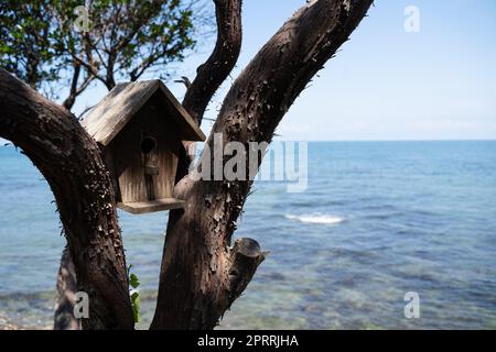 A birdhouse on a tree near wooden table and chairs in a fir forest ...