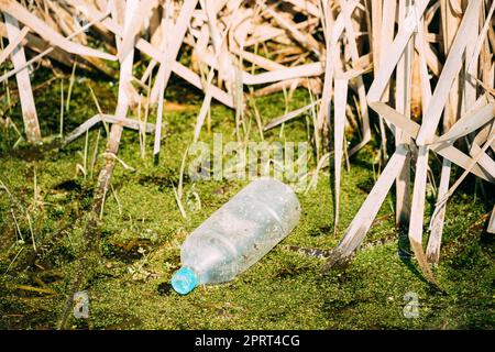 Old Plastic Bottle Floats In Water Of Swamp Or Bog. Used Empty Bottle ...
