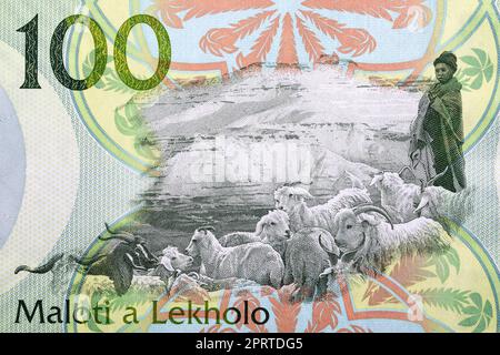 Goats from banknotes of Lesotho - Maloti Stock Photo - Alamy