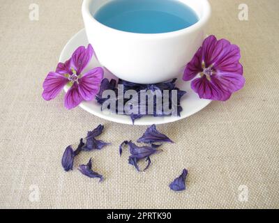 Blue mallow tea, tea from dried mallow flowers Stock Photo - Alamy