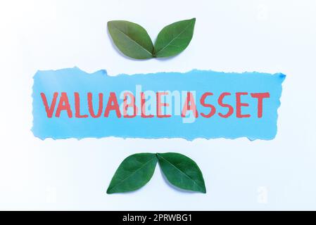 Sign displaying Valuable AssetYour most valuable asset is your ability ...