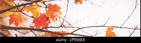 Panoramic view of late fall foliage in Smugglers Notch, Vermont Stock ...