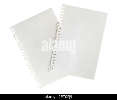 two blank sheets of paper with side perforation on a transparent ...