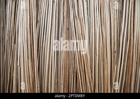 Rows and Rows of brown Jute Sticks Texture background of a field Stock ...