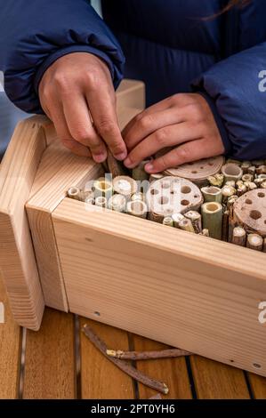 Making wooden insect hotel or house in workshop. DIY and work tools on ...