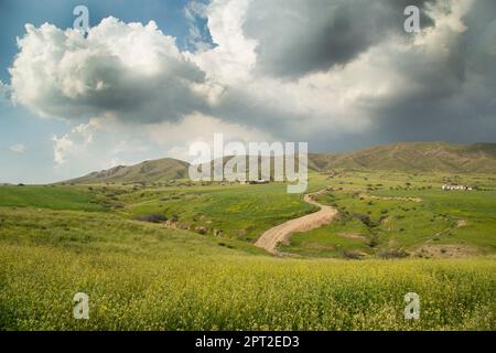 Spring around Shiraz Stock Photo - Alamy
