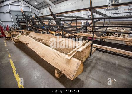 Volunteers work on the replica of the Sutton Hoo longship, at the ...