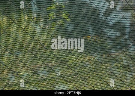 Installation of a shading net on a the chain-link fence Stock Photo - Alamy