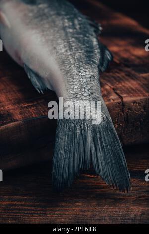 Sea bass tail Stock Photo - Alamy