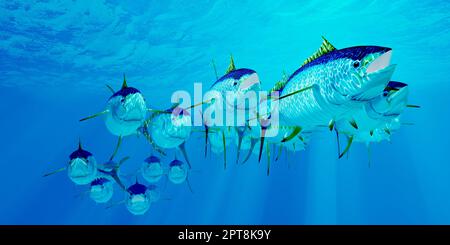 A school of Yellowfin tuna hunt for prey in the deep ocean Stock Photo ...