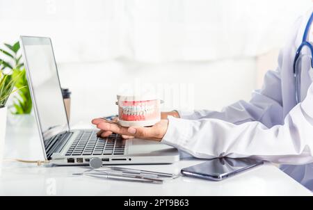 Dentist woman hand holding educational jaw model of oral cavity with ...