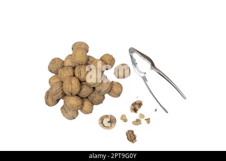 A bunch of walnuts on a transparent surface Stock Photo - Alamy