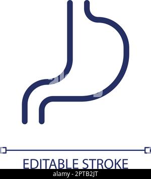 Stomach pixel art. Human internal organs 8 bit. Pixelate anatomy 16bit ...