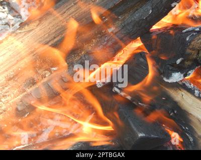 Natural fire burns firewood Stock Photo - Alamy