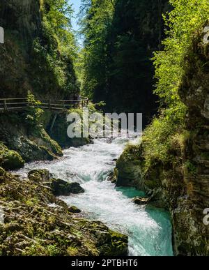 A picture of the Vintgar Gorge, the Radovna Valley river and the ...
