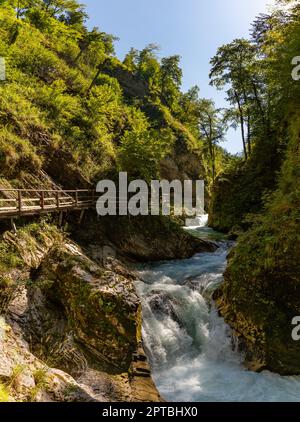 A picture of the Vintgar Gorge, the Radovna Valley river and the ...