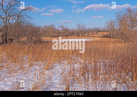 Grasslands and Wetlands in the Winter in Volo Bog State Natural Area in ...