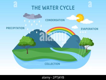 The Water Cycle Animation Precipitation Education