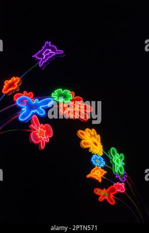 bliss: Shot at the strand, tauranga Stock Photo - Alamy