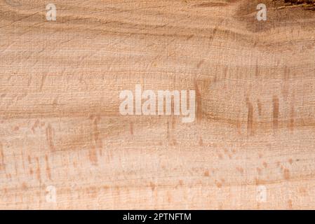 sfondo creato con legno di faggio, background con legno Stock Photo - Alamy