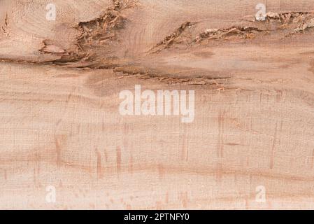 sfondo creato con legno di faggio, background con legno Stock Photo - Alamy