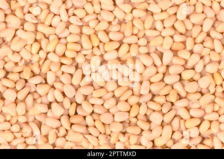 Seamless texture or wallpaper, Pine nuts top view. High resolution ...