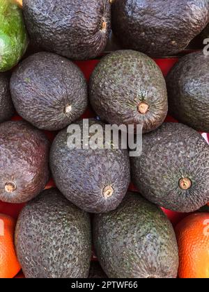 Morocco, Marrakech, Avocado Stock Photo - Alamy