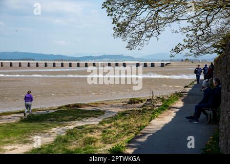 The Arnside tidal bore traveling up the Kent Estuary at Arnside ...