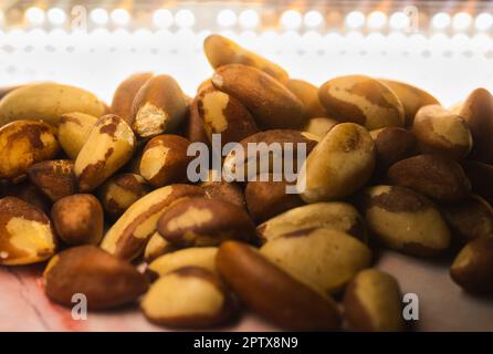 Brazil Nuts heart healthy snake close up shot Stock Photo - Alamy