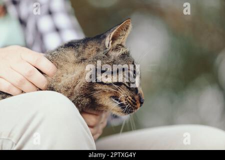 Normal girl strokes normal cat in normal forest. Isn't everything ...