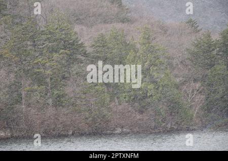 Blizzard over Lake Yunoto. Nikko National Park. Japan Stock Photo - Alamy