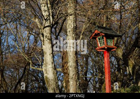 Traditional lantern in Nikko National Park. Japan Stock Photo - Alamy