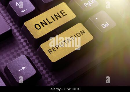 Inspiration showing sign Online Reputation. Business overview ...