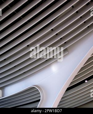 Curved structural column at an airport. Modern architecture, design ...