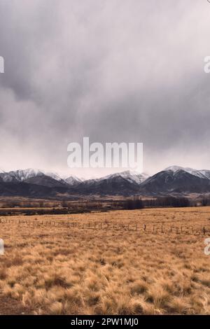 Snowy Andes Mountains looming over vast dry grasslands in Tupungato ...