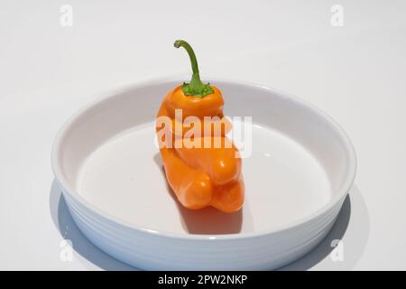 Capsicum unusually shaped isolated in white bowl Stock Photo - Alamy
