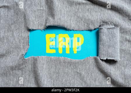 Conceptual display Erp, Business approach enterprise resource planning centralized database for ...