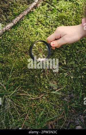 Kids hand with magnifying glass over moss in the forest. Nature search ...
